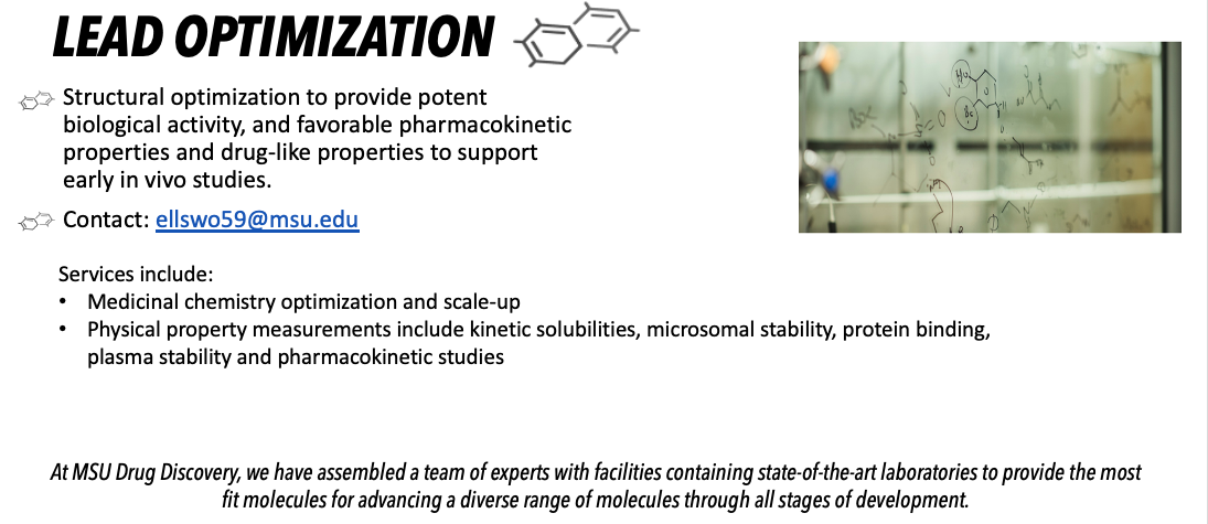 LEAD OPTIMIZATION Drug Discovery